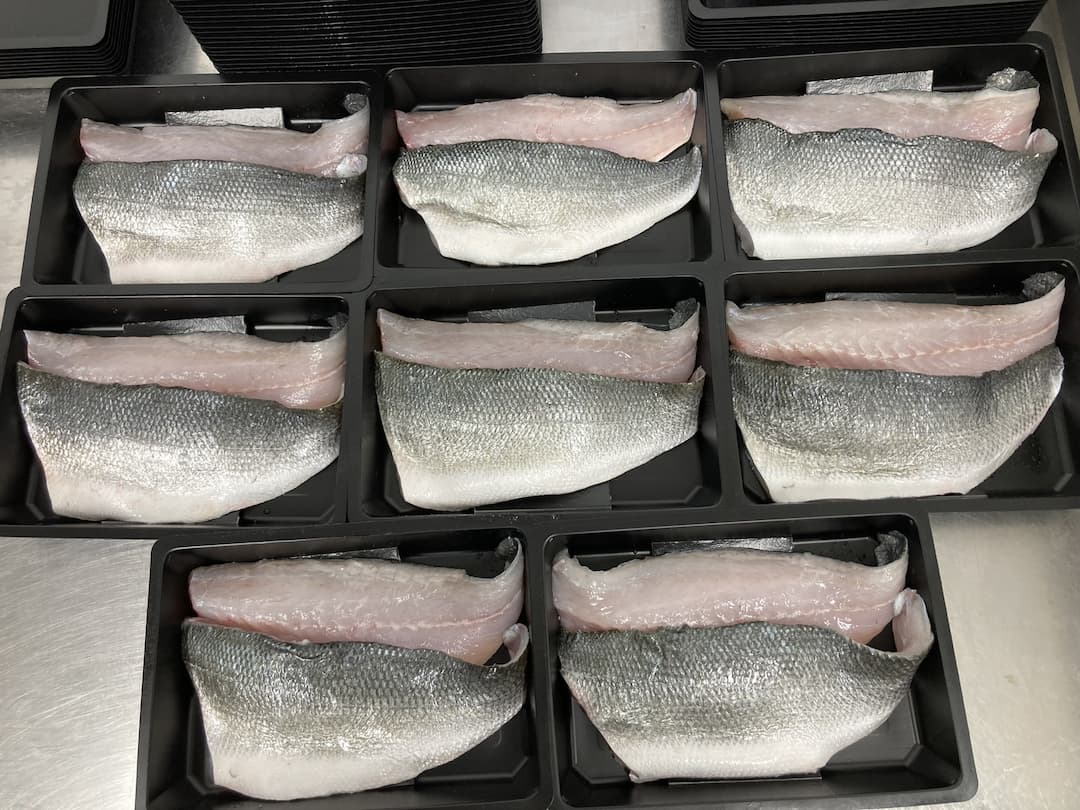 Wholesale Fish Deliveries Nationwide - Order Fresh Tray Pack Fish